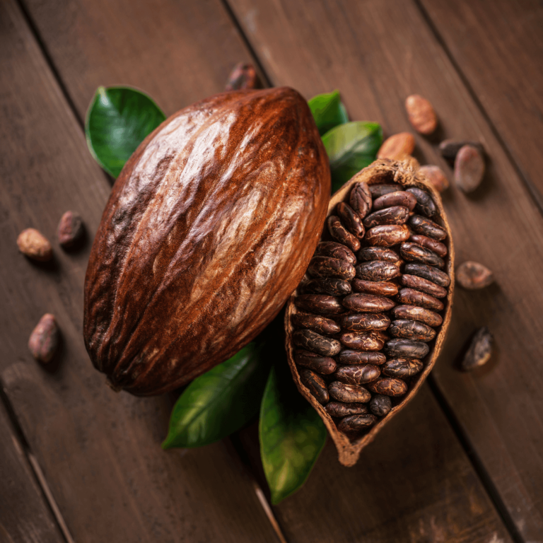La cabosse de cacao : guide ultime sur le fruit du cacaoyer - wecacao