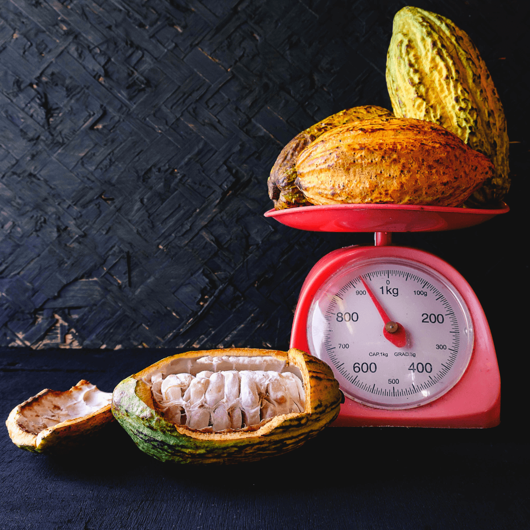 La cabosse de cacao : guide ultime sur le fruit du cacaoyer - wecacao